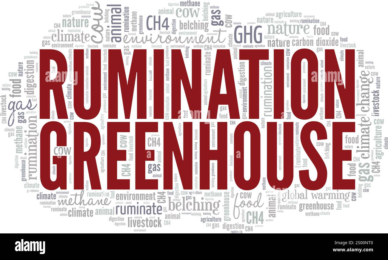Rumination Greenhouse word cloud conceptual design isolated on white ...