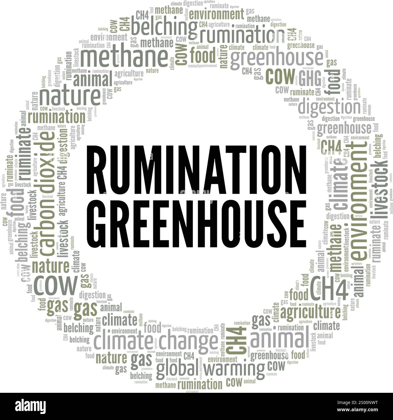 Rumination Greenhouse word cloud conceptual design isolated on white ...