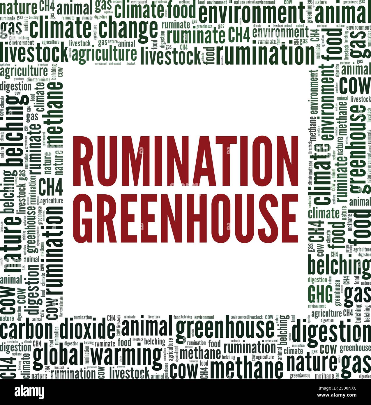 Rumination Greenhouse word cloud conceptual design isolated on white ...
