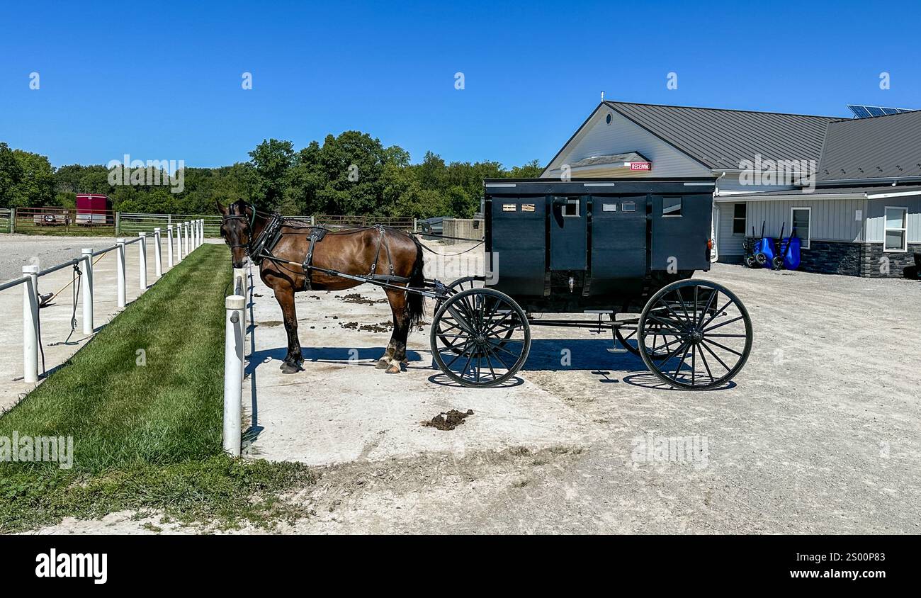 Amish horse and buggy in Shipshewana, IN USA Stock Photo - Alamy