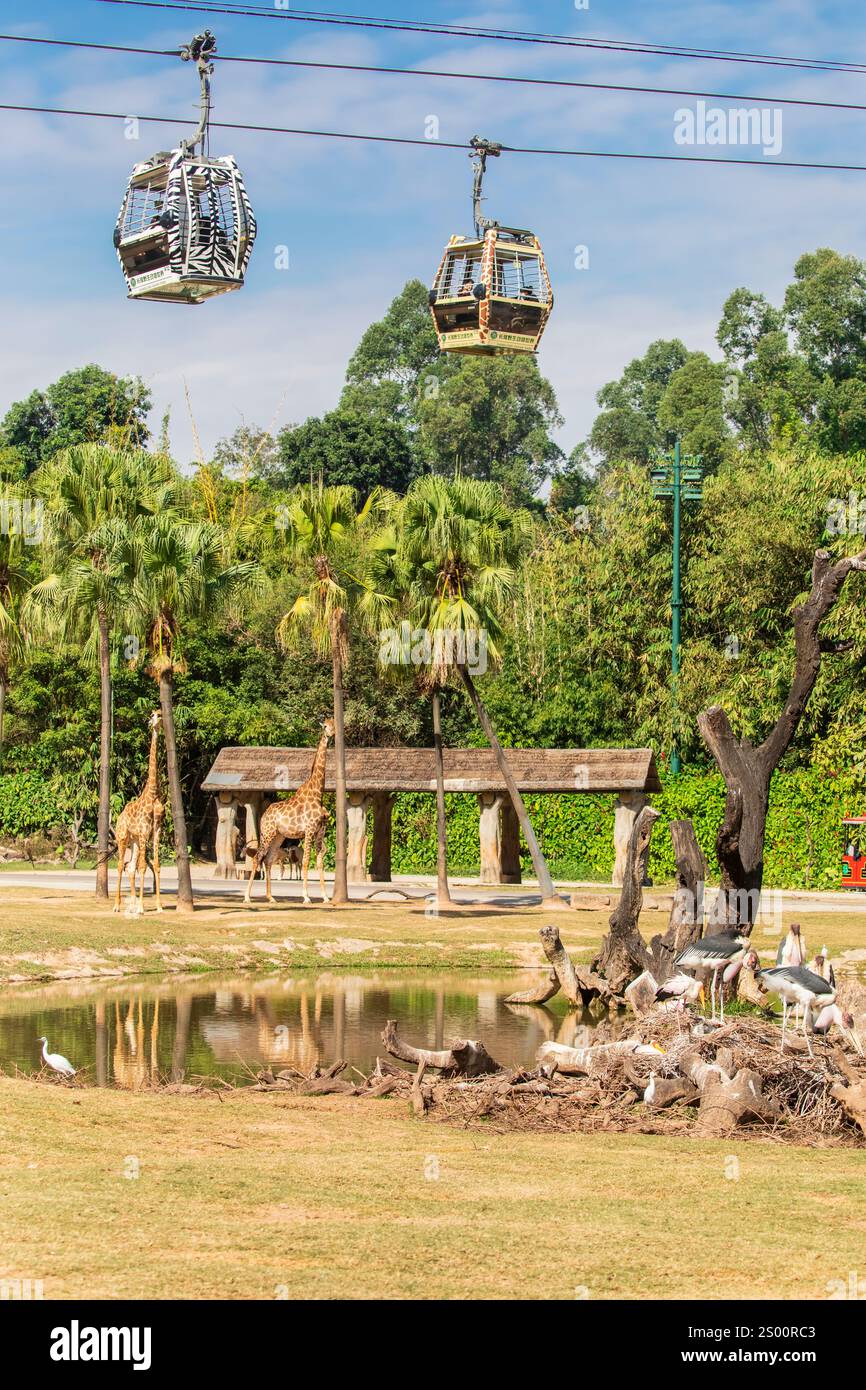 GuangZhou China 16th Dec 2024: The African Safari Zone at Chimelong ...