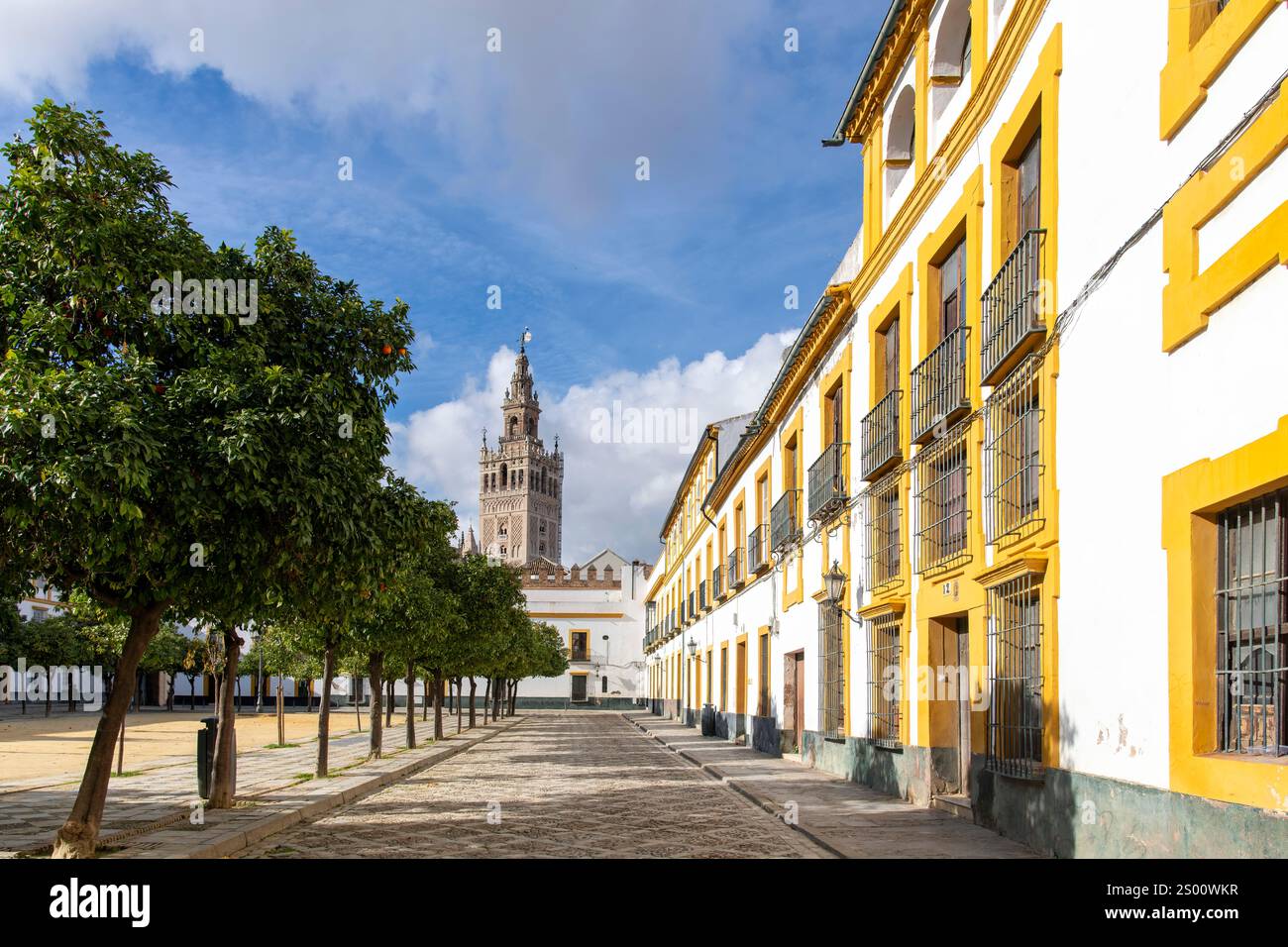 View over Patio de Banderas lined with trees with oranges and the ...
