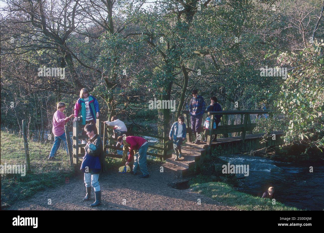 Ferbruary sunshine hi-res stock photography and images - Alamy