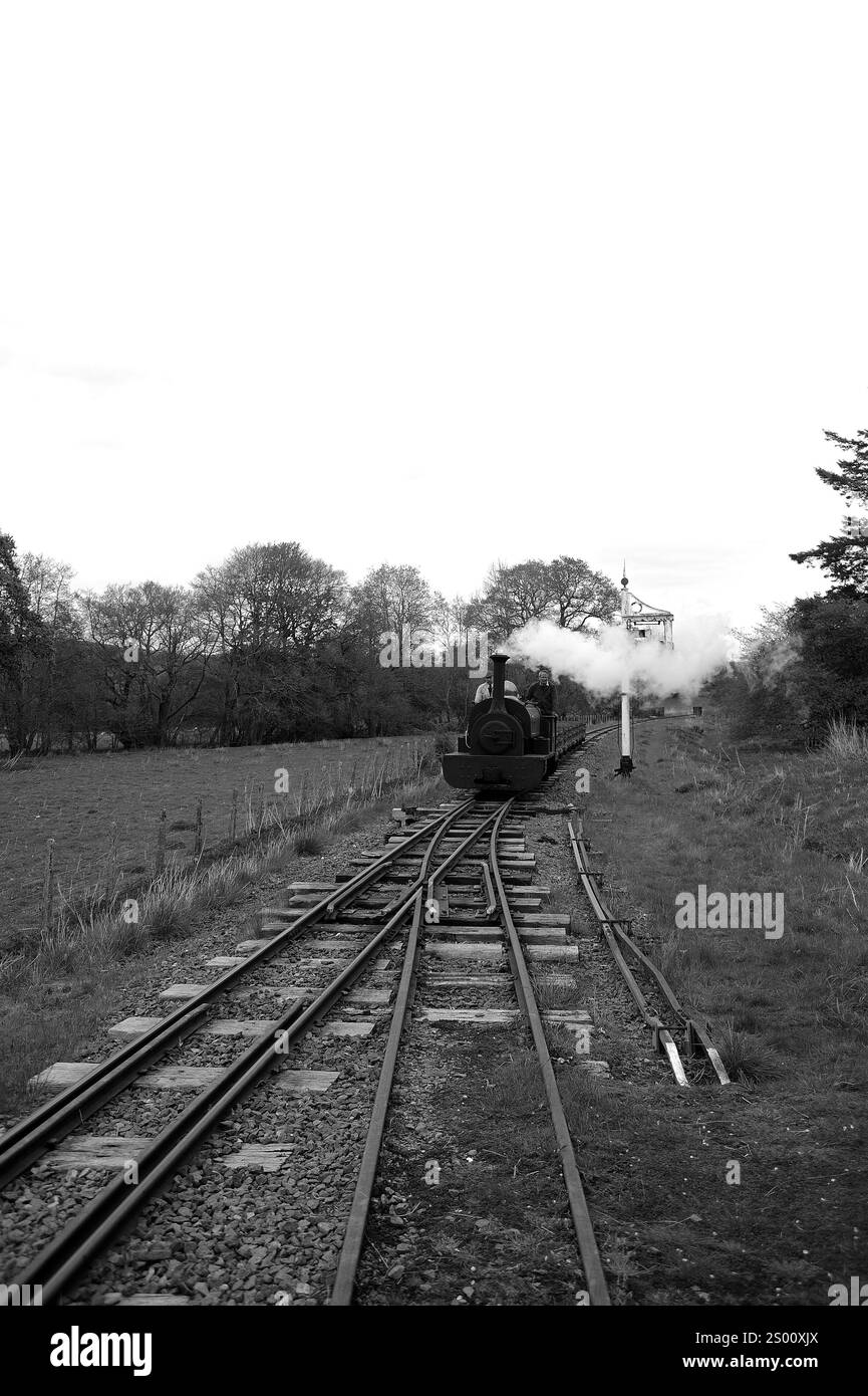 "Winifred" at Llangower with a train of slate wagons Stock Photo - Alamy