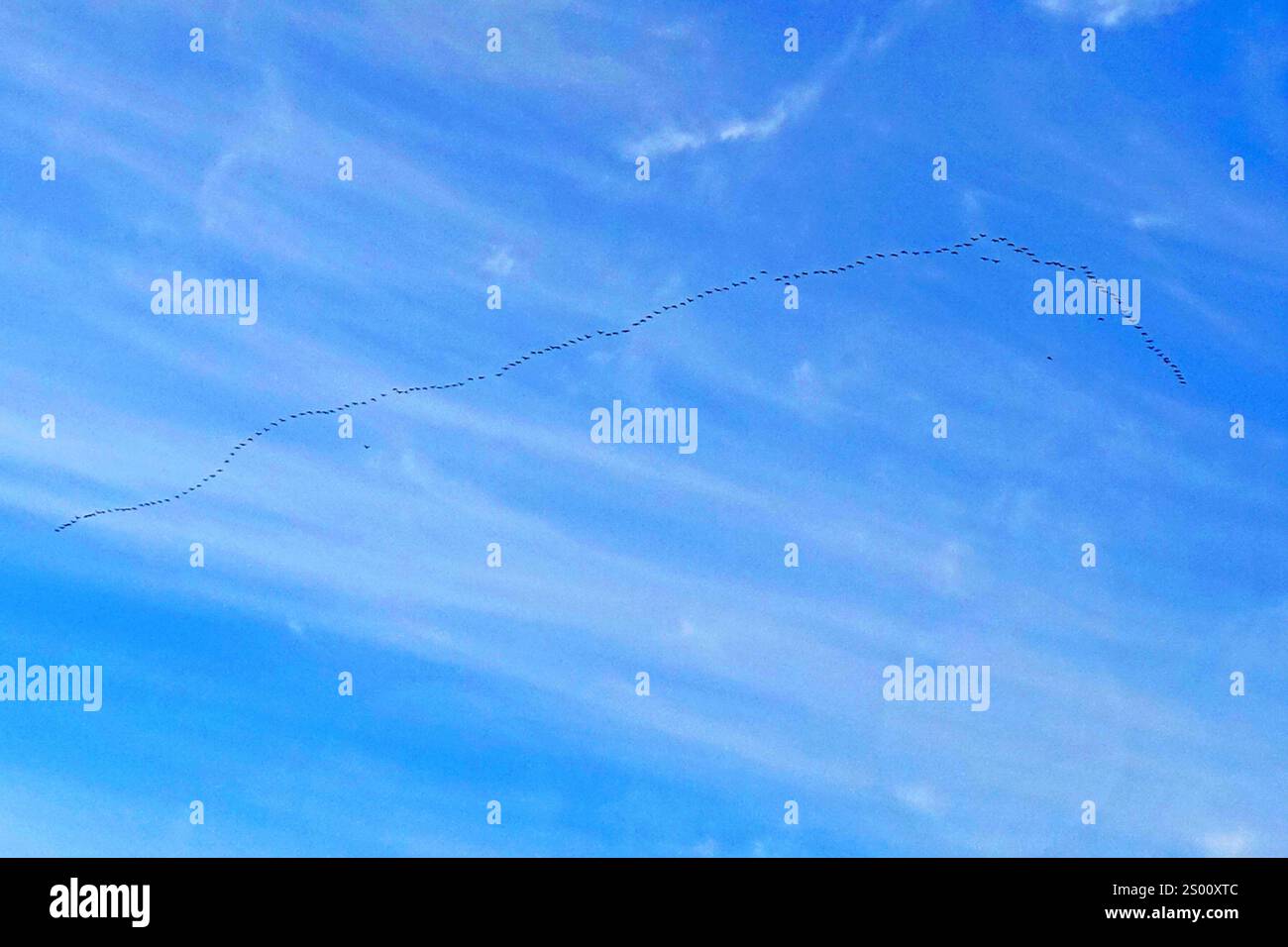 Qingdao, China. 23rd Dec, 2024. QINGDAO, CHINA - DECEMBER 23, 2024 ...