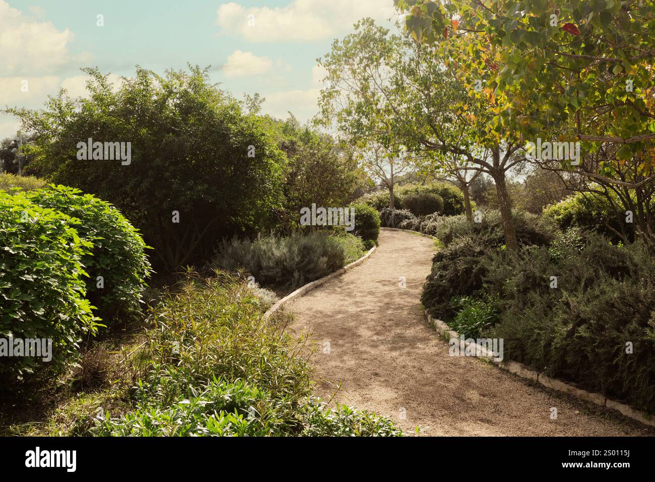 Winding Path Through a Lush Garden with Vintage Look Stock Photo - Alamy