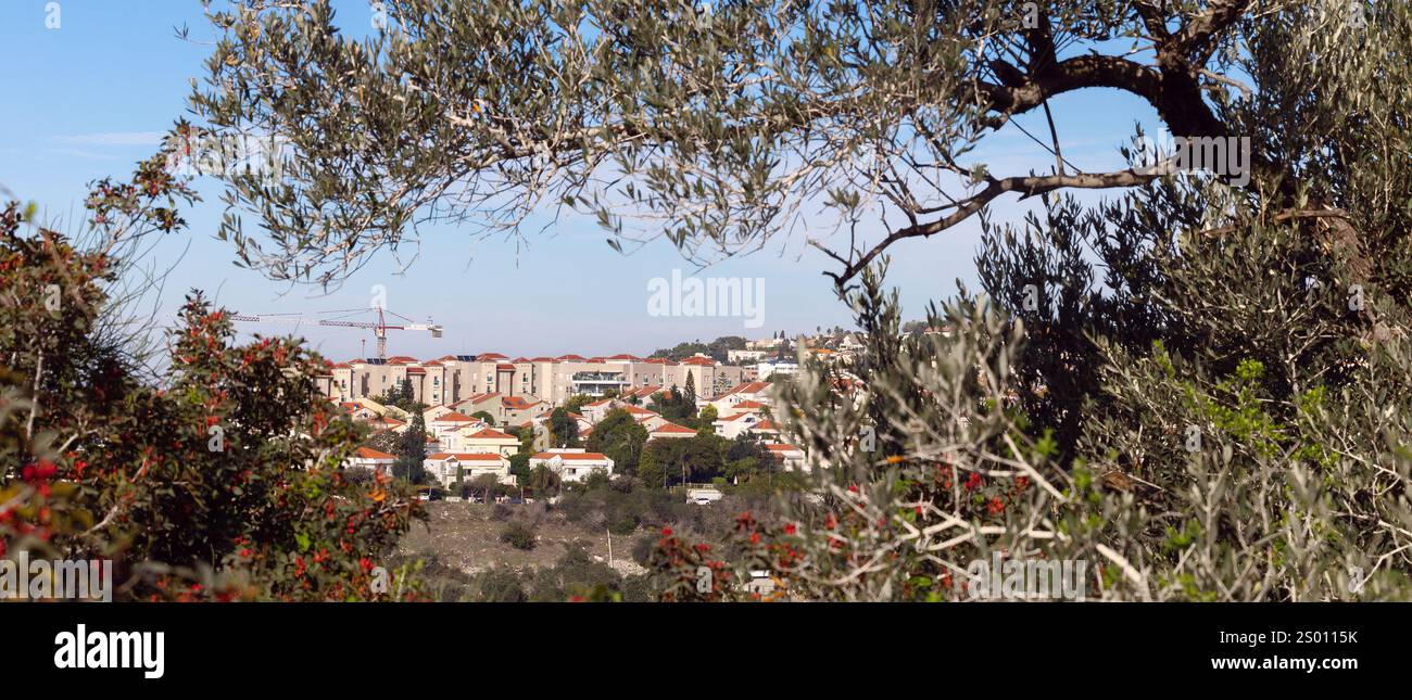 Urban Development Amidst Lush Greenery in North of Israel Stock Photo ...