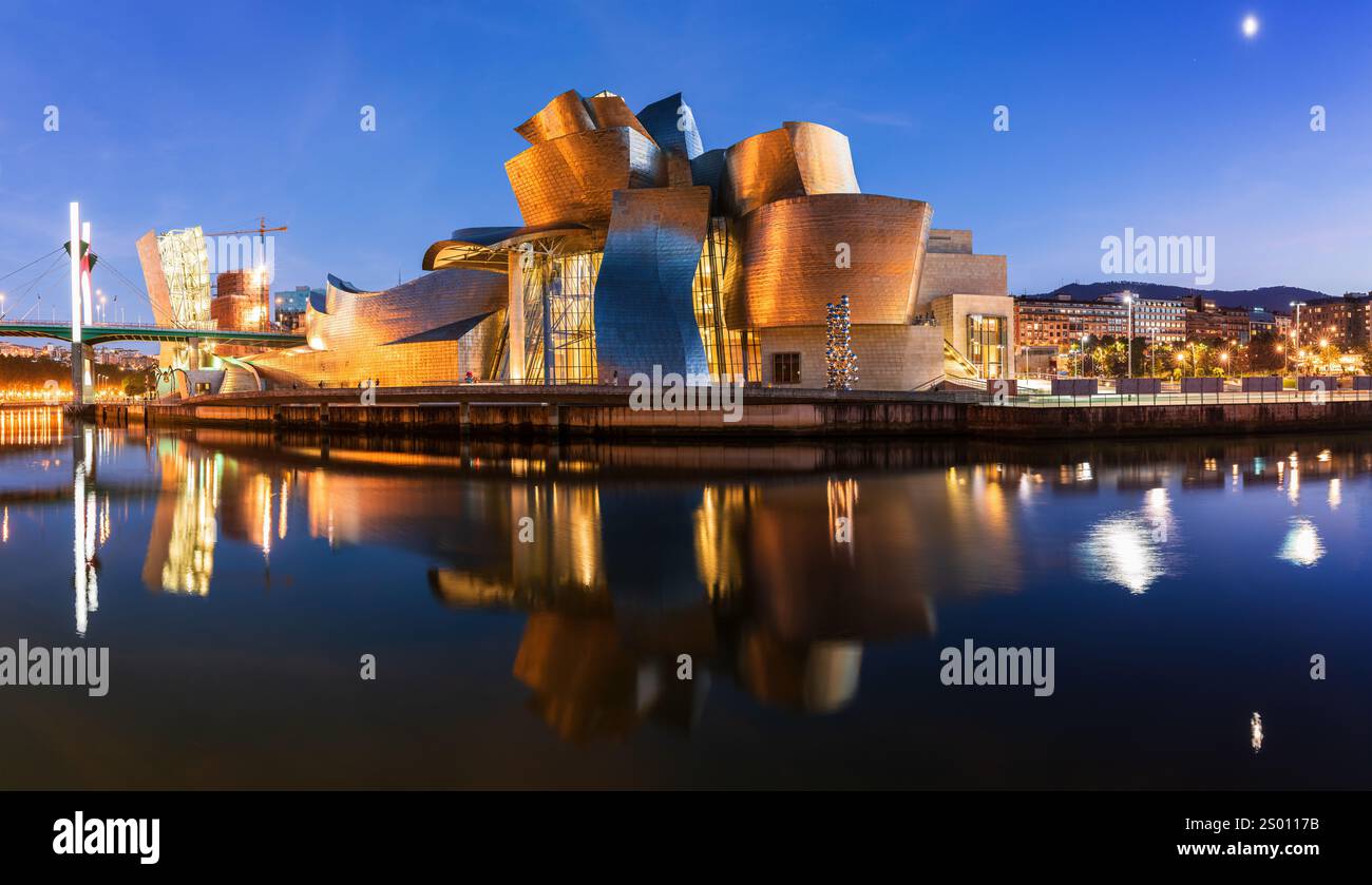 Night view of the Guggenheim Museum in Bilbao, Spain, with illuminated ...