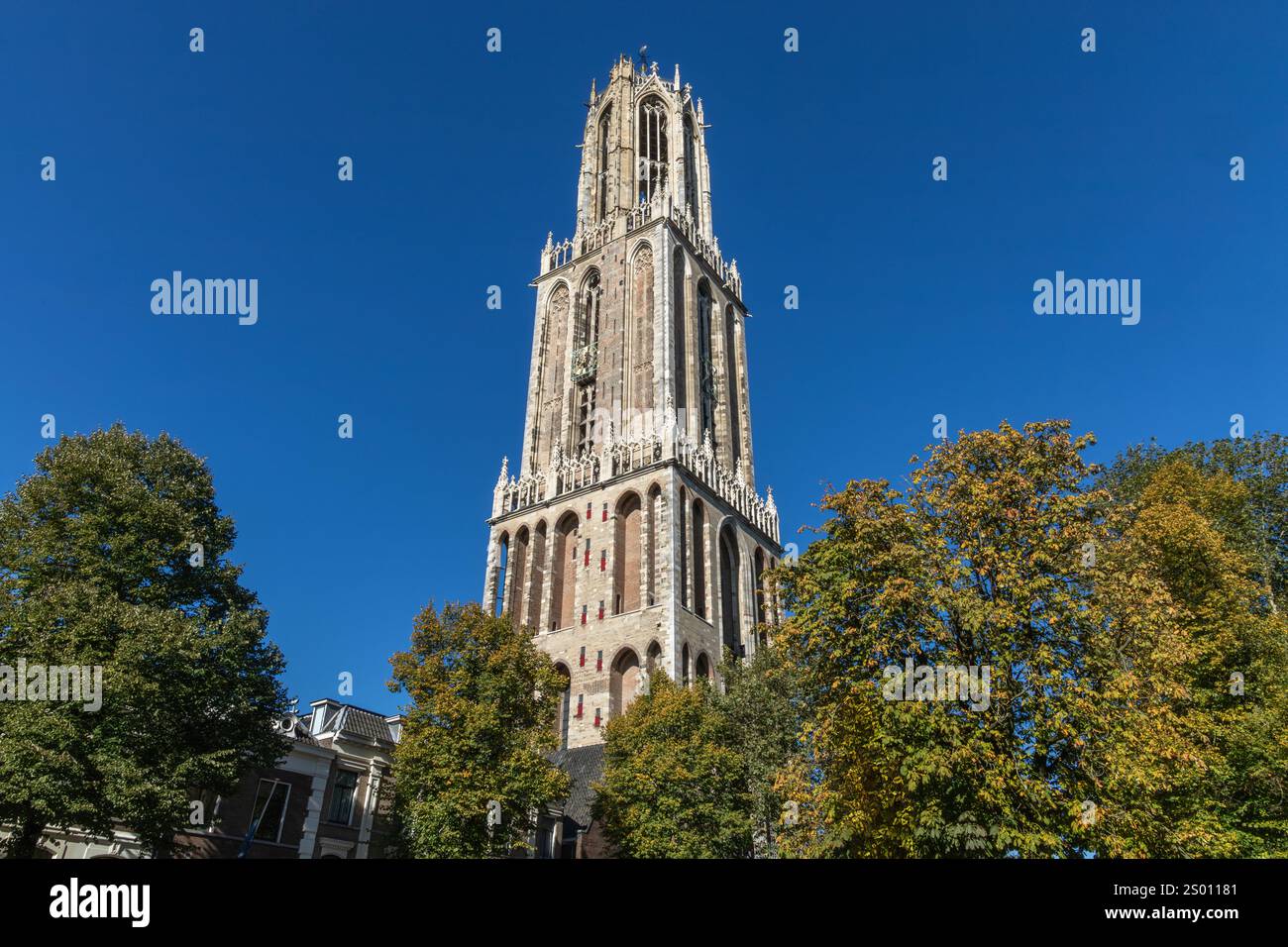 Dom Tower in Utrecht surrounded by trees. In 2024 after 5 years of ...