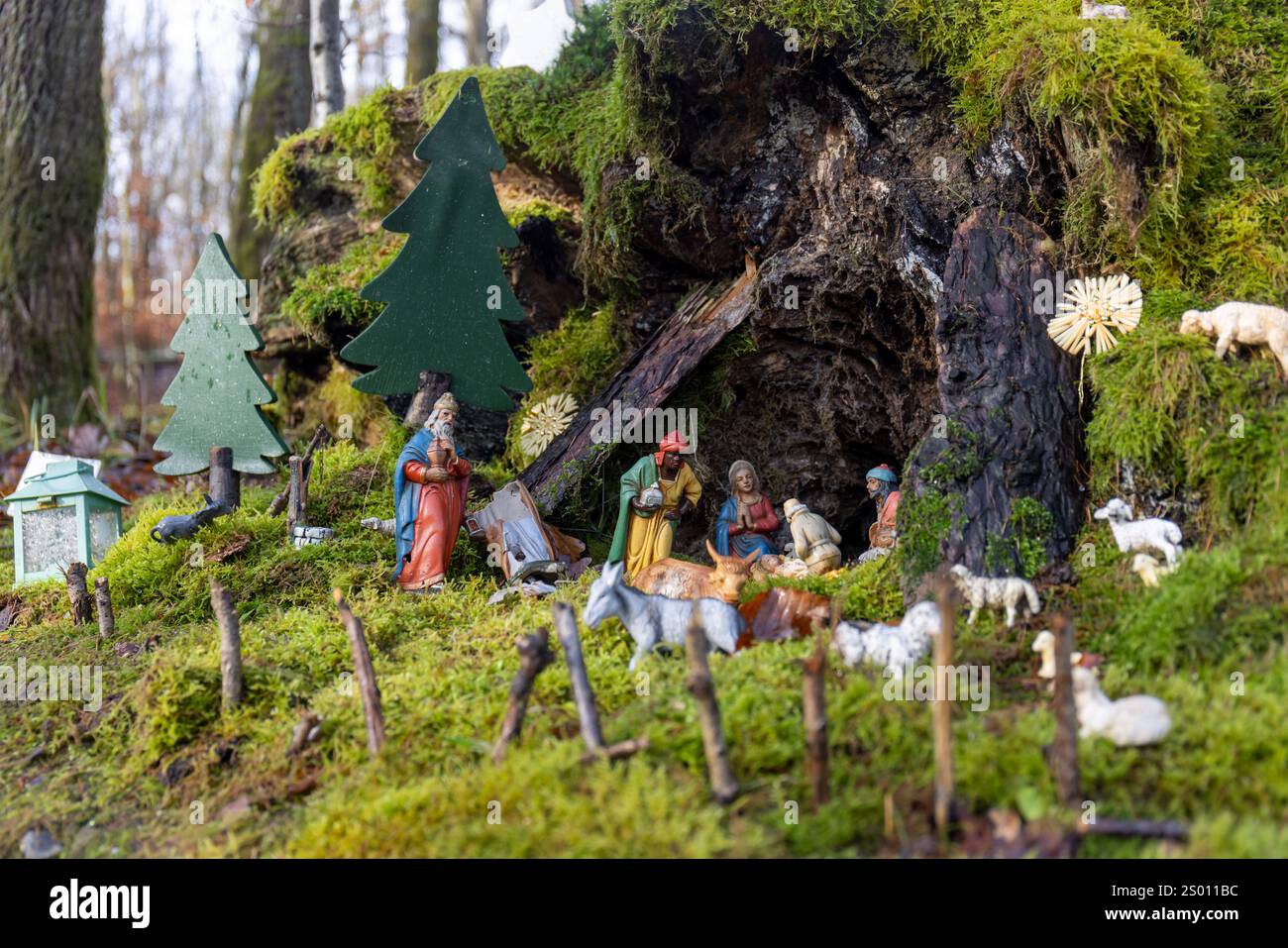 Biebertal, Germany. 23rd Dec, 2024. View of a nativity scene along the ...