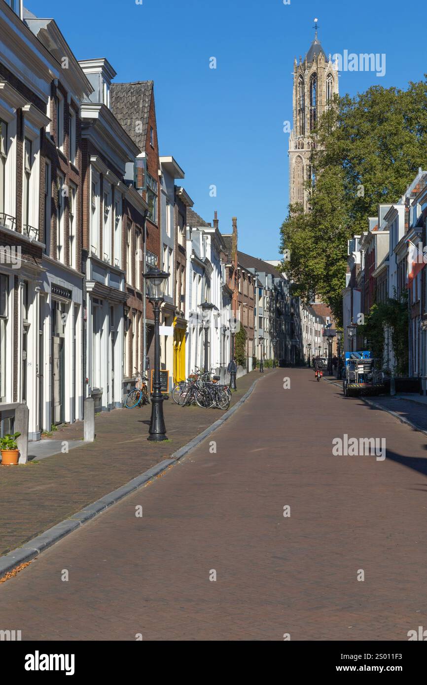Historical street "lange nieuwstraat" with Dom Tower in the background ...