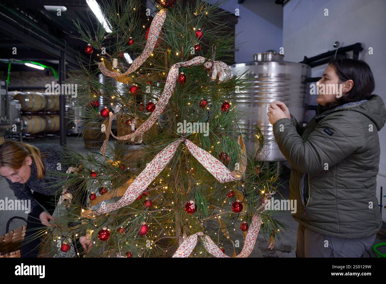 Several neighbors put up Christmas decorations on December 23, 2024, in ...