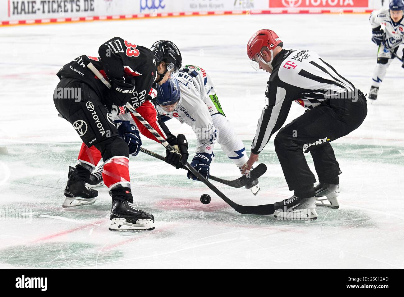 Eishockey DEL - 24/25 - 29. Spieltag: Kölner Haie vs Straubing Tigers ...
