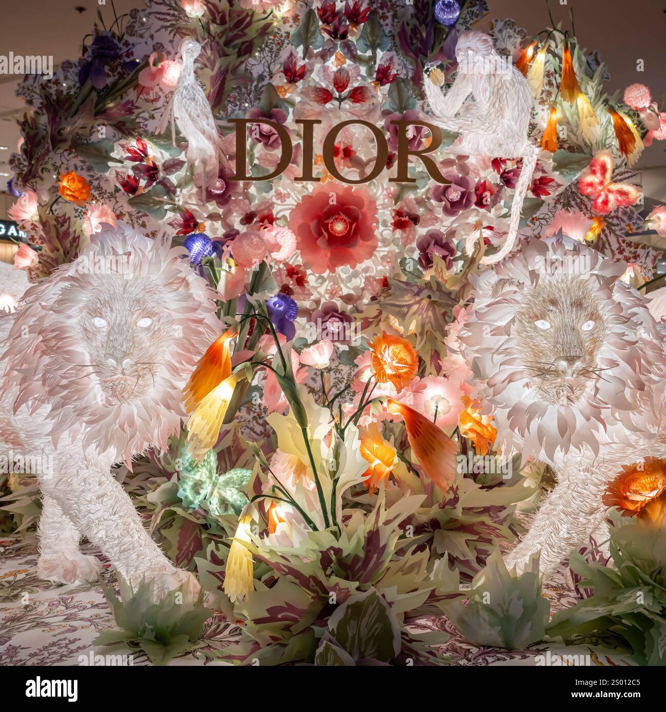 Paris, France - 12 12 2024: View Showcase of Christian Dior with ...