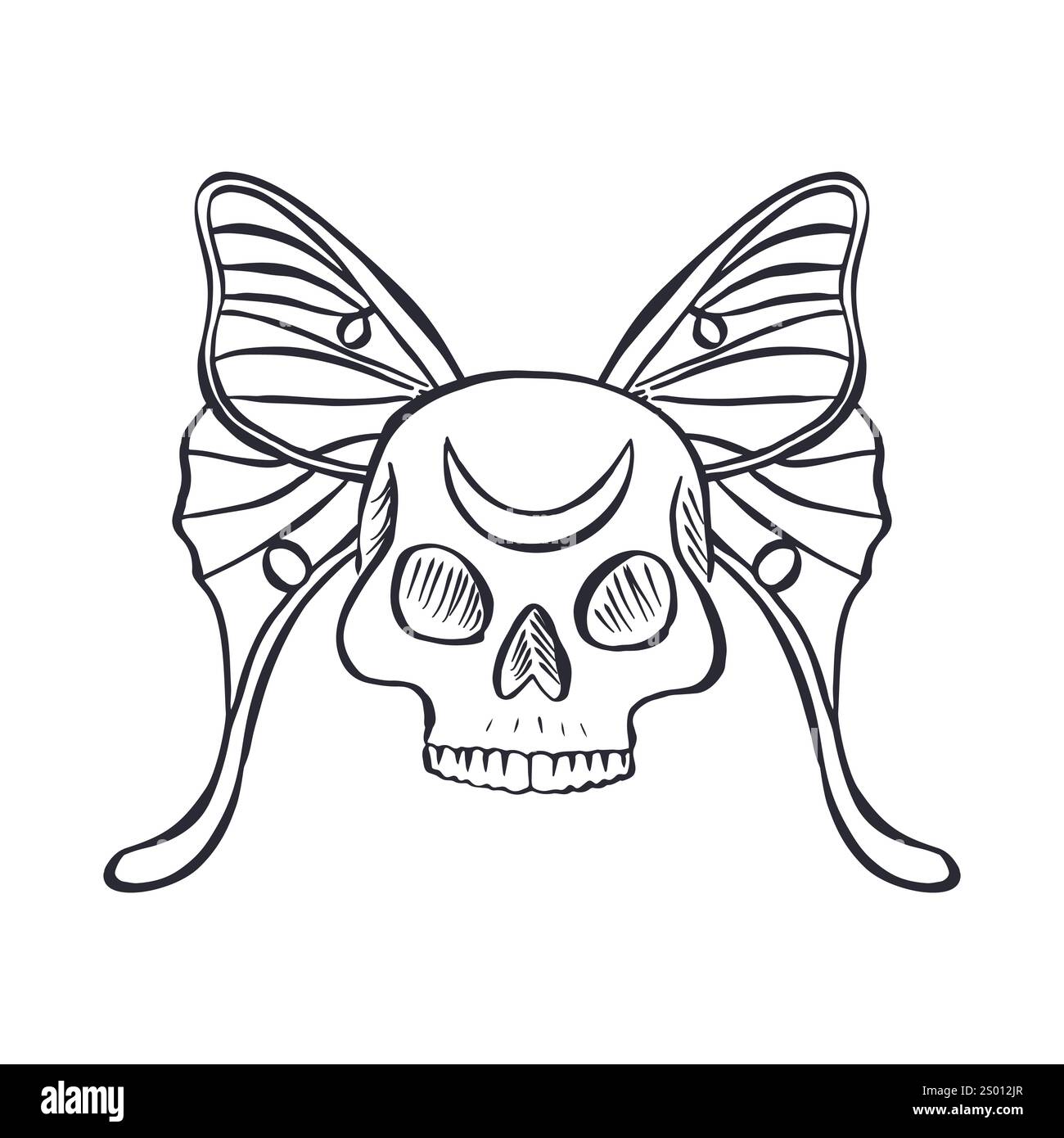 Hand drawn black and white sketch of human skull with luna moth wings ...