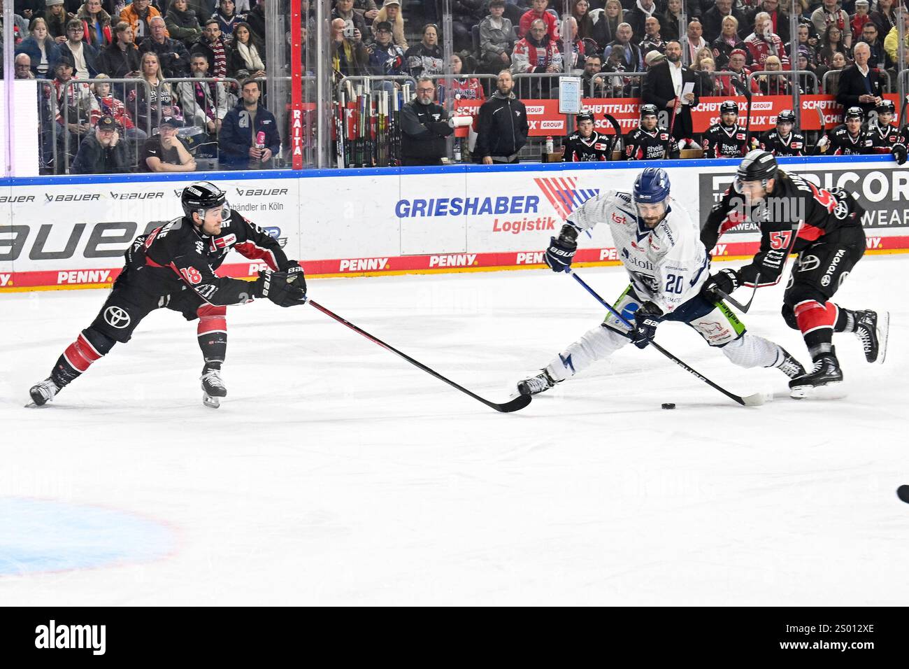 Eishockey DEL - 24/25 - 29. Spieltag: Kölner Haie vs Straubing Tigers ...