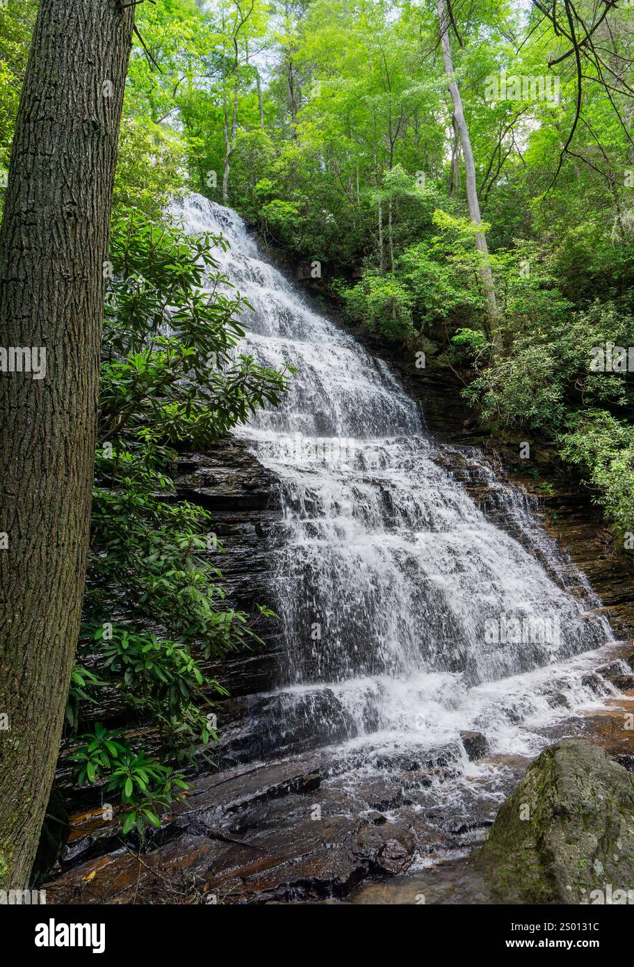 Chilhowee mountain hi-res stock photography and images - Alamy