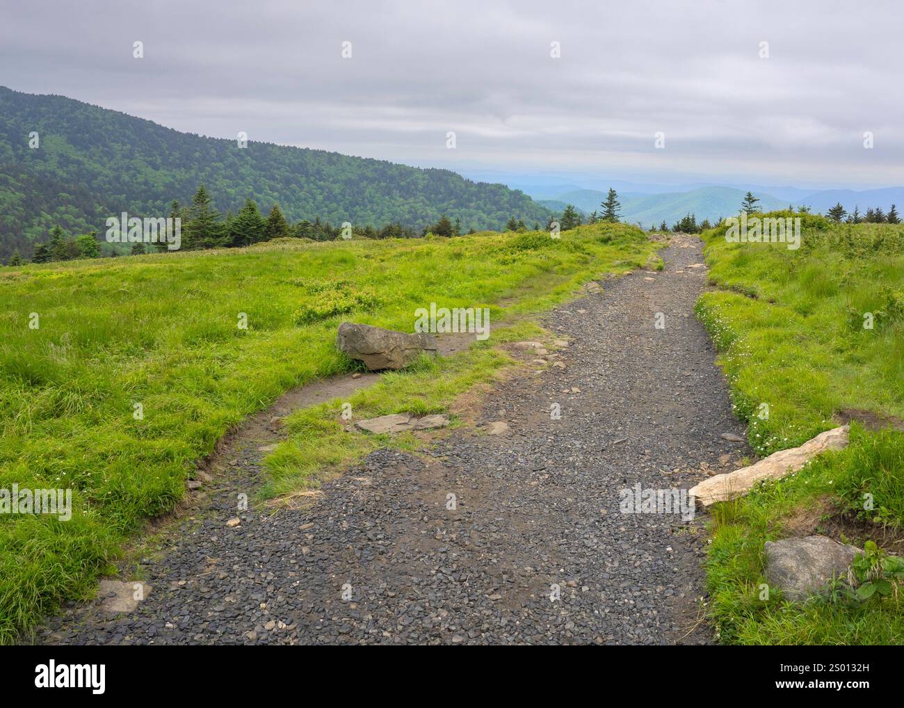 The Appalachian Trail atop Round Bald, heading north. Mountains are ...