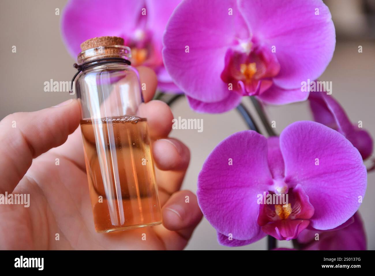 Hand holding a bottle of raw natural oil with a purple orchid flower ...