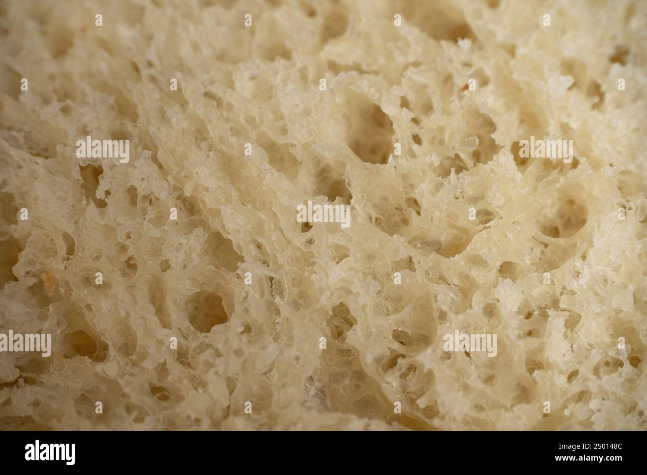 Close-up of bread crumb with its gluten structure Stock Photo - Alamy