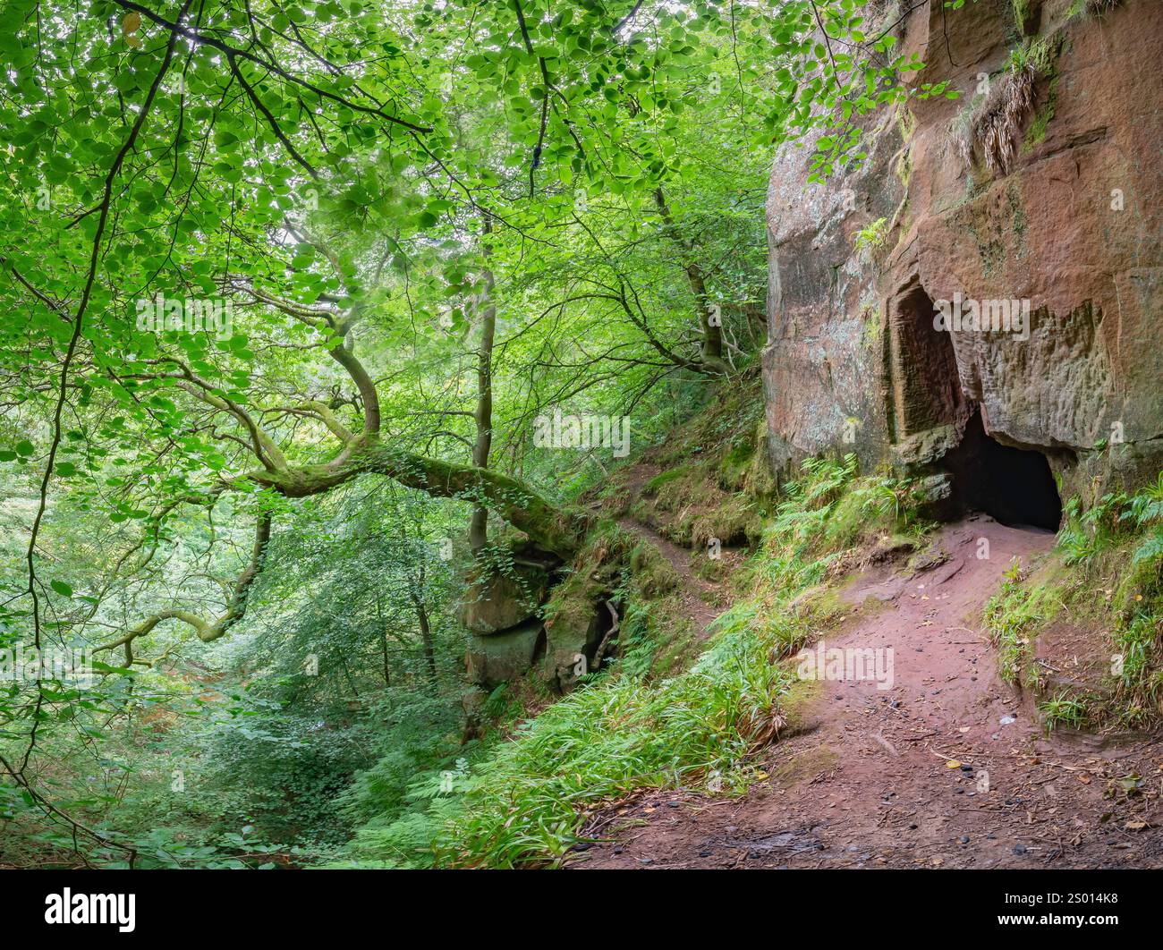 Wallace's Cave, Roslin Glen, Scotland Stock Photo - Alamy