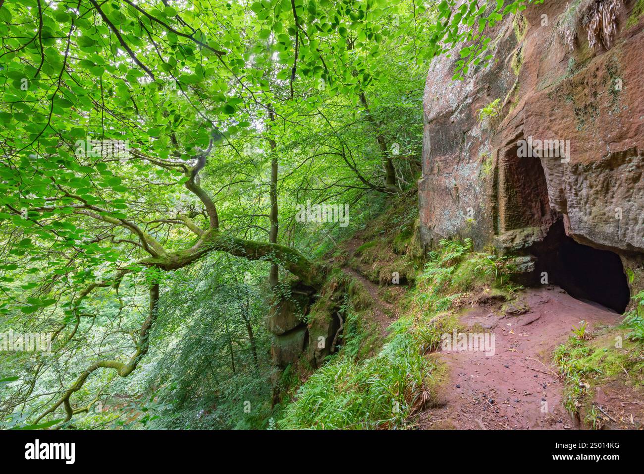 Wallace's Cave, Roslin Glen, Scotland Stock Photo - Alamy