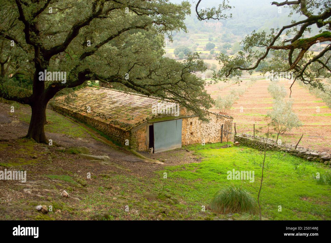 Son Perot.Orient Valley. Bunyola. Tramuntana Mountains. Mallorca ...