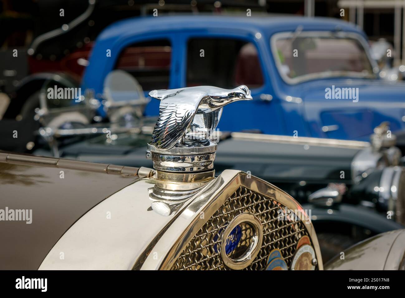 Lisbon, Portugal - Oct 15, 2023: Close-up and selective focus of flying ...