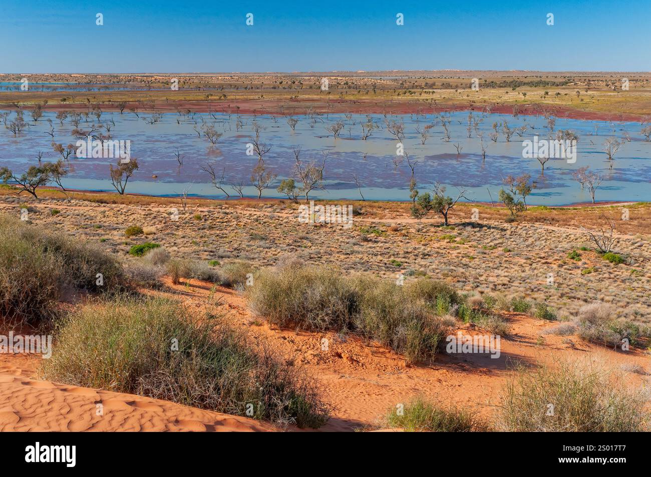 Big Red, Simpson Desert, Birdsville, Australia Stock Photo - Alamy
