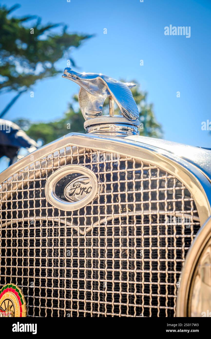 Lisbon, Portugal - Sep 29, 2024: Close-up and selective focus of flying ...