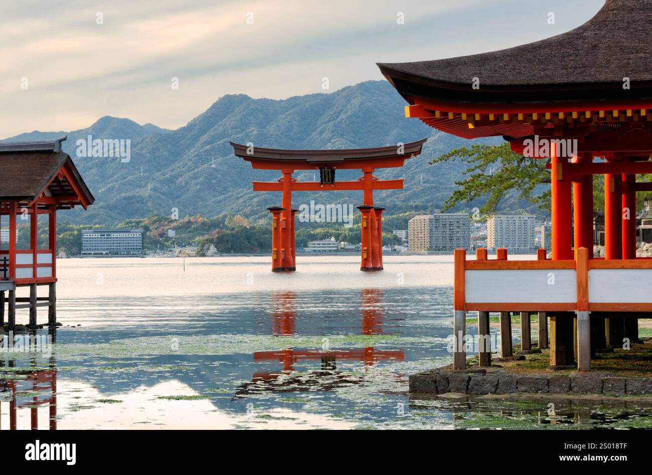 Miyajima Island, The famous Floating Torii gate in Japan Stock Photo ...