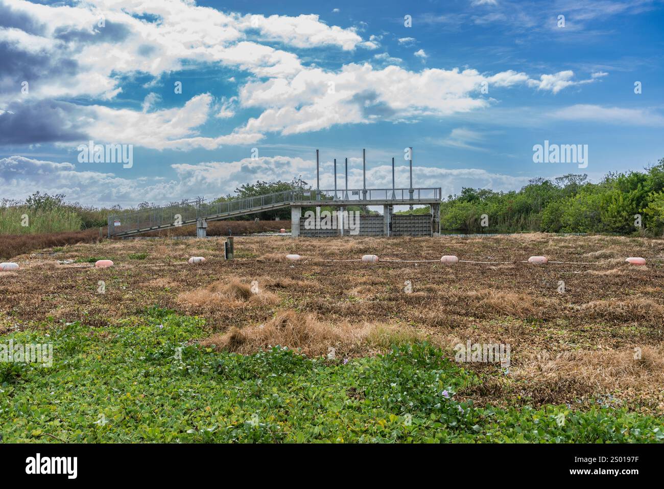 Florida Everglades water control Stock Photo - Alamy