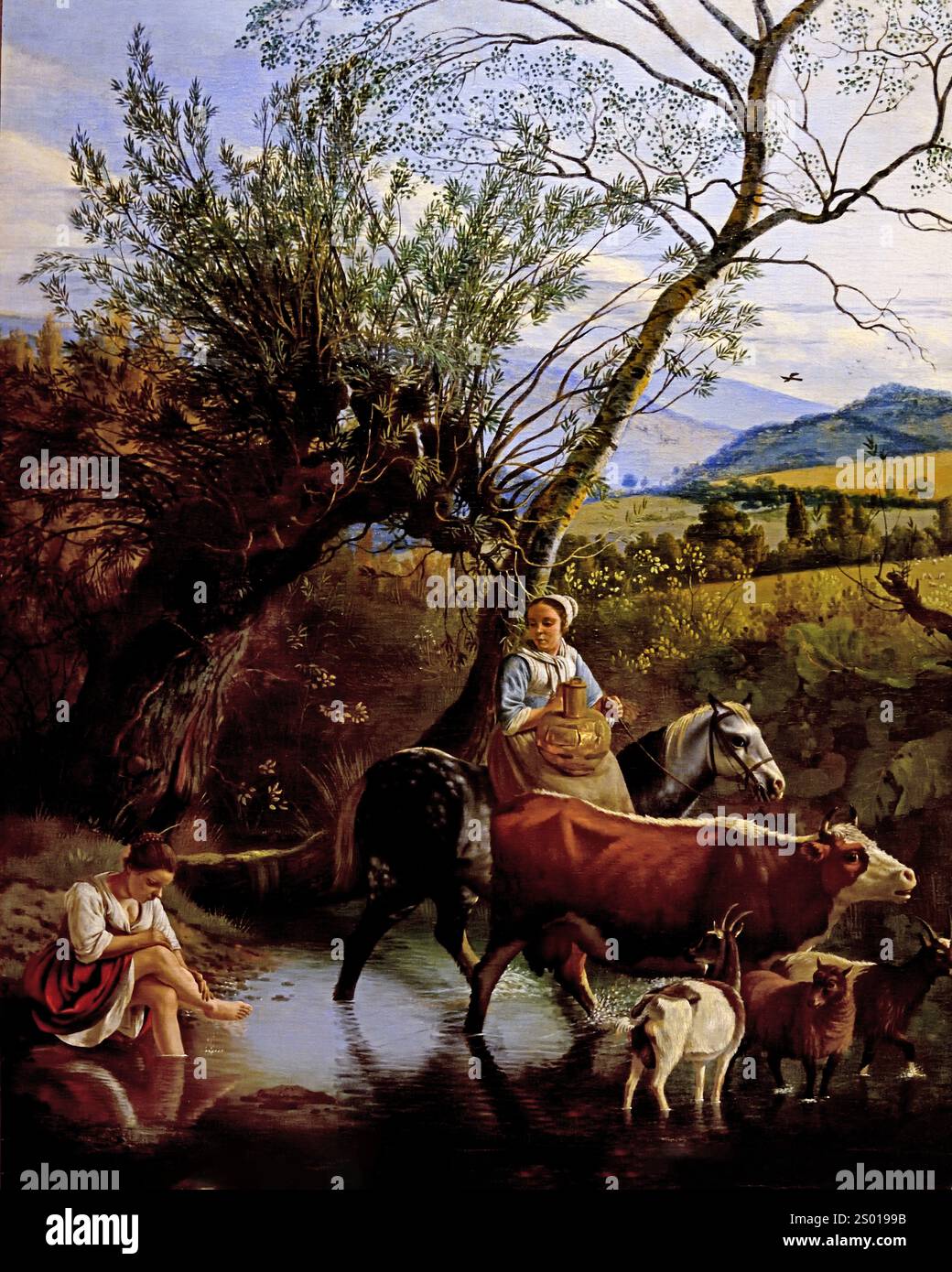 Fine Art Museum,Hungarain, Hungary, Italian, Italy, France, French ...