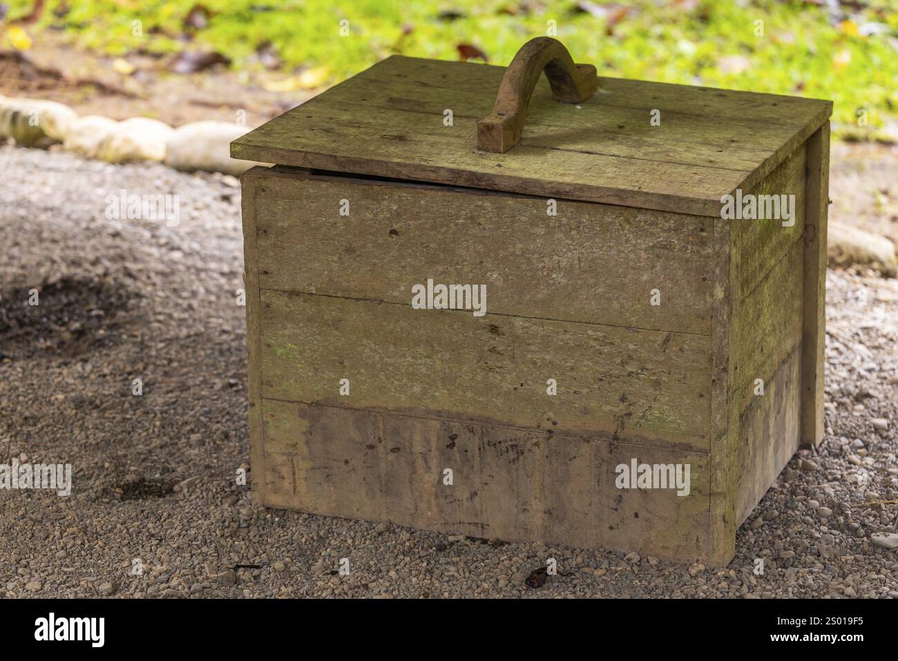 Wooden box for fermenting cocoa beans, cocoa (Theobroma cacao), Costa ...