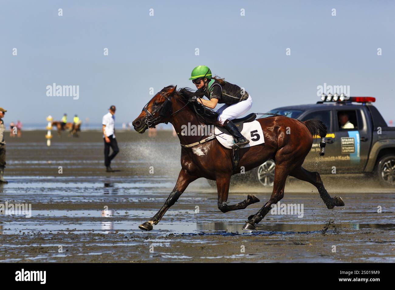 Rider, horsewoman, horse at a gallop, gallop race in the mudflats ...