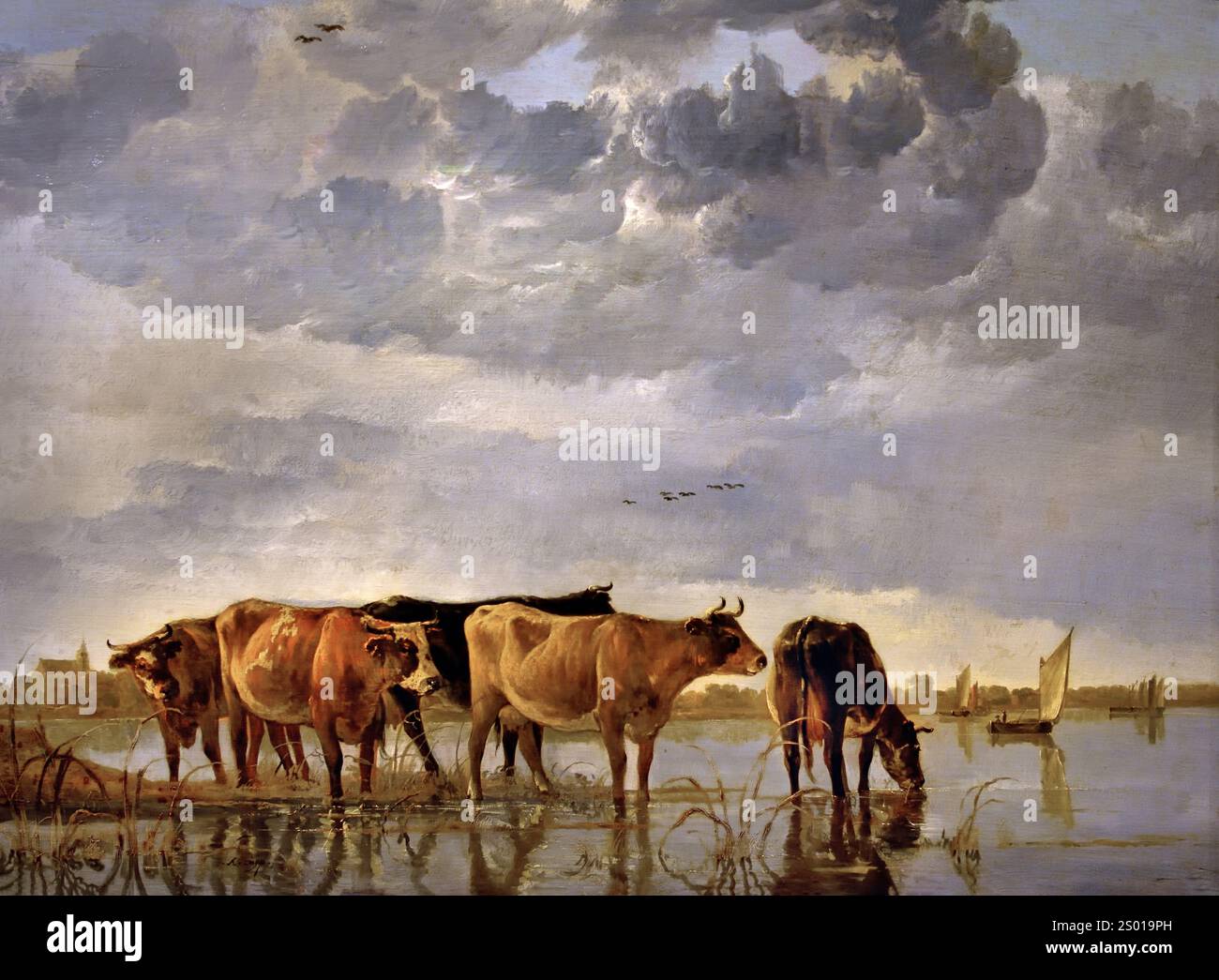 Aelbert cuyp river landscape with cows art hi-res stock photography and ...