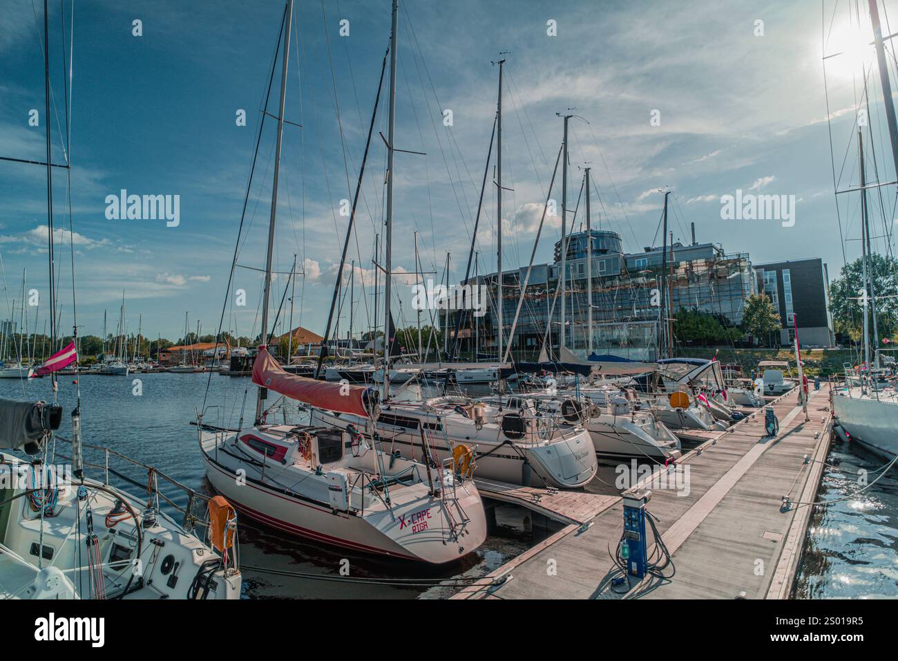 A vibrant marina with sailboats moored at wooden docks, featuring tall ...
