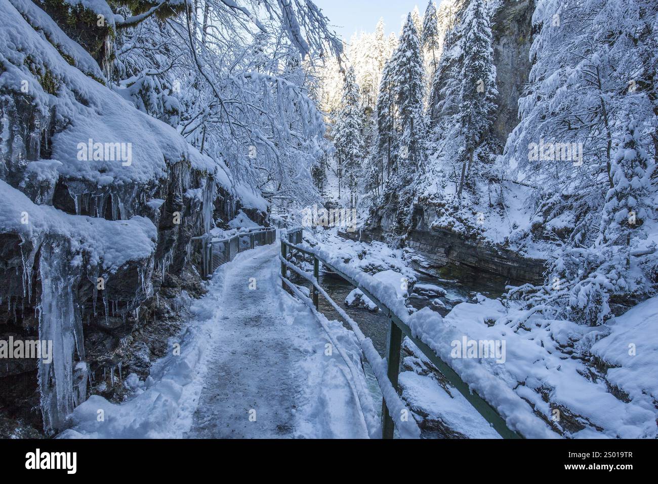 Winter, snowy landscape, river Breitach and hiking trail through the ...