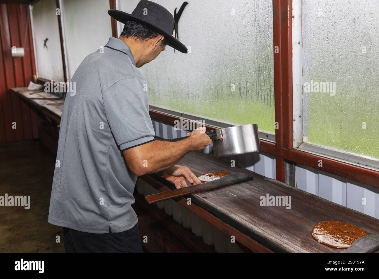 Heated sugar cane is poured out (Saccharum officinarum), sweet grasses ...