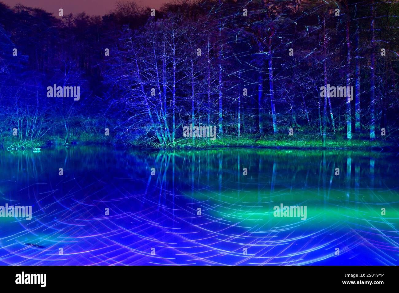 Starry Nights at Dean Castle Country Park Stock Photo - Alamy