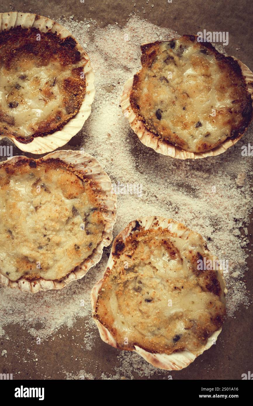 Scallop shells, stuffed, baked with cheese, in the oven, julienne with ...