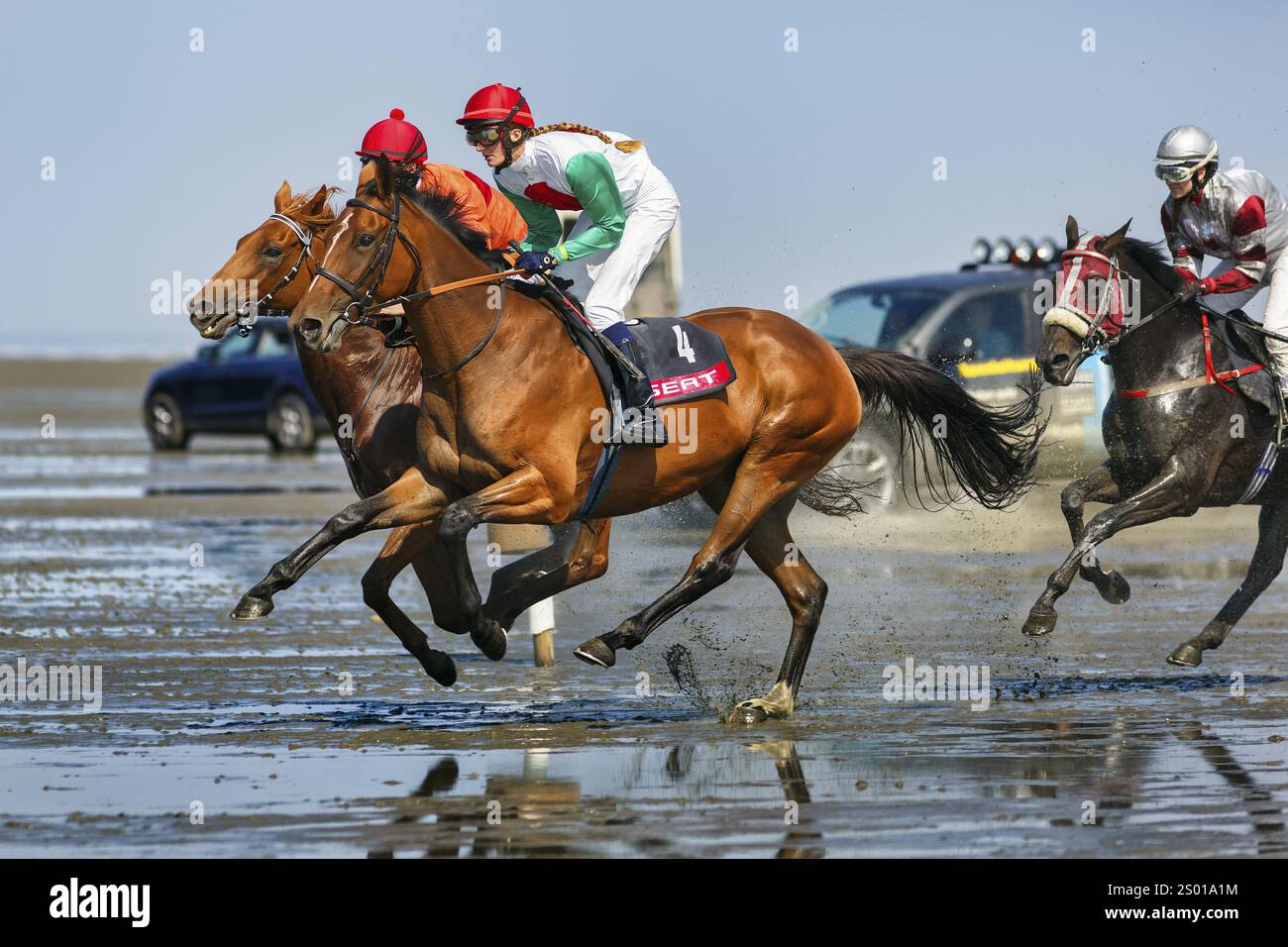 Riders, horses at a gallop, gallop race in the mudflats, Duhner ...