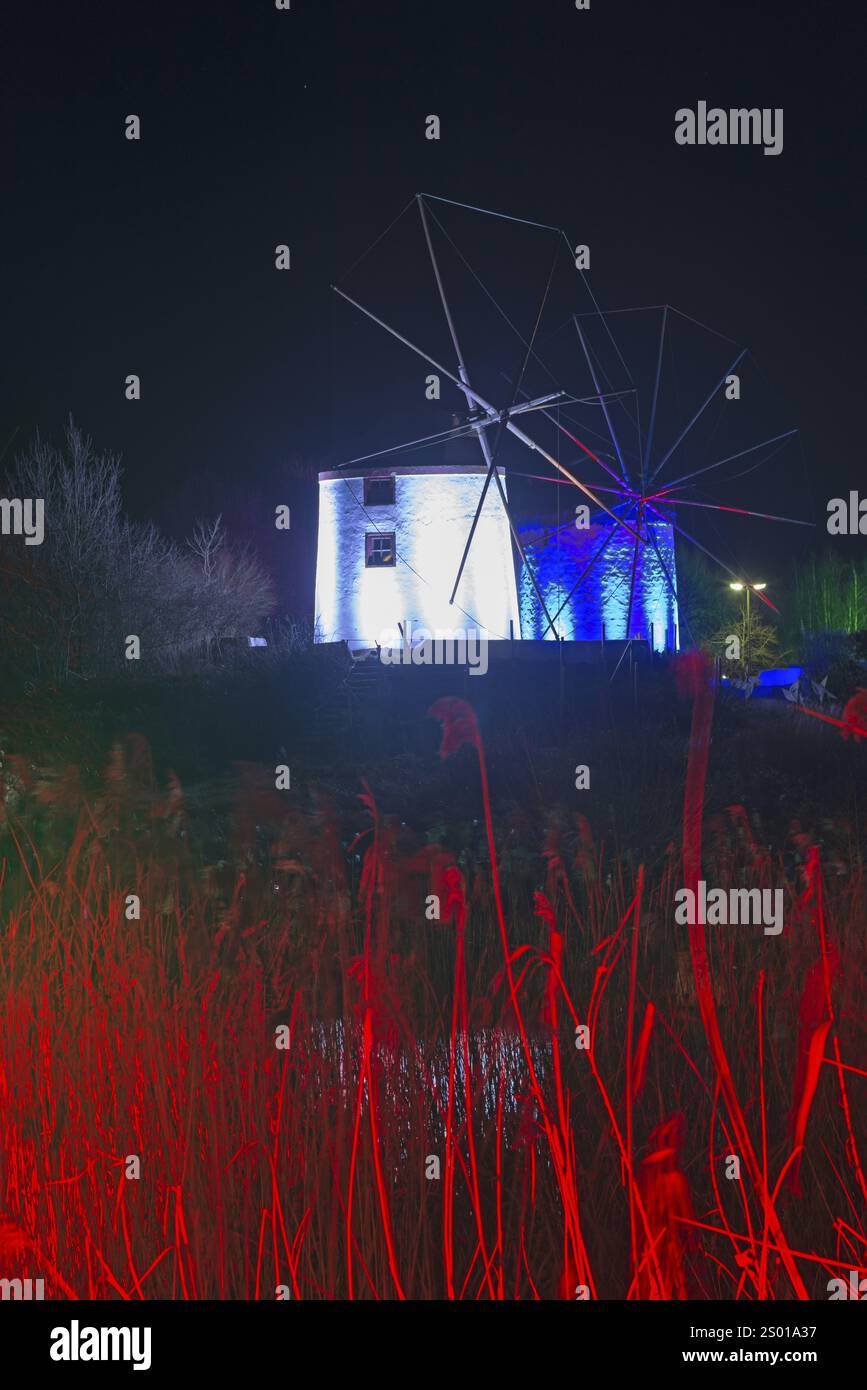 Illuminated windmill in blue and red at night, surrounded by grasses ...