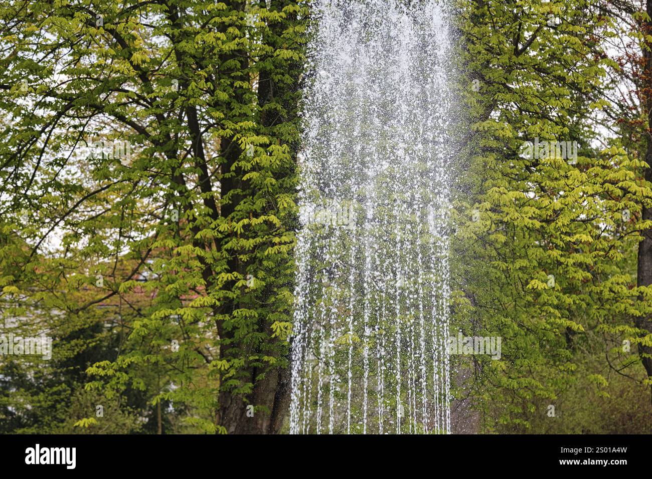 Water fountain, water features, spray mist, park in city centre ...