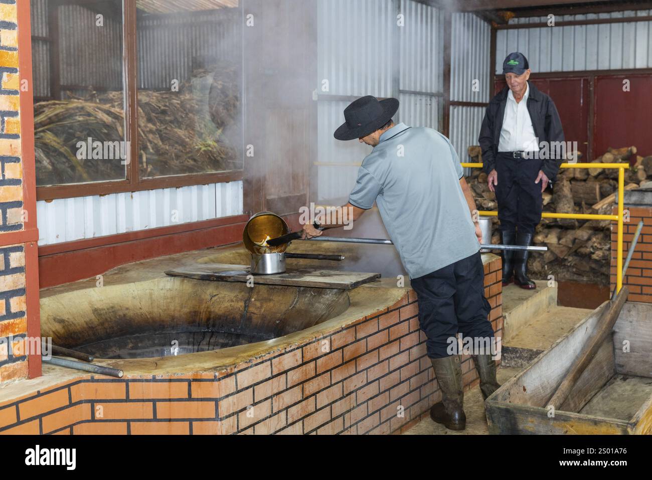 Heated sugar cane pulp is poured into a pot (Saccharum officinarum ...