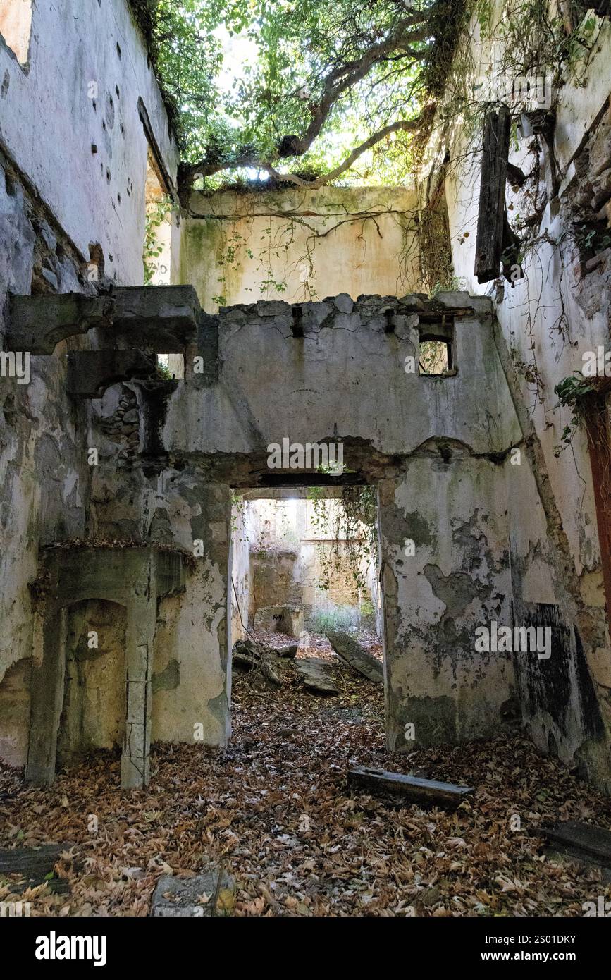 old, abandoned, overgrown, collapsed house on the island of Crete ...