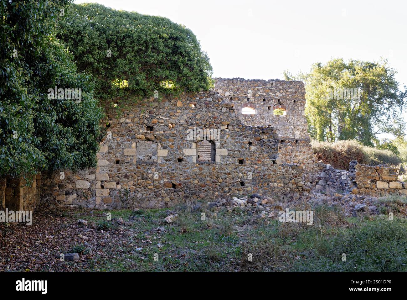 old, abandoned, overgrown, collapsed house on the island of Crete ...
