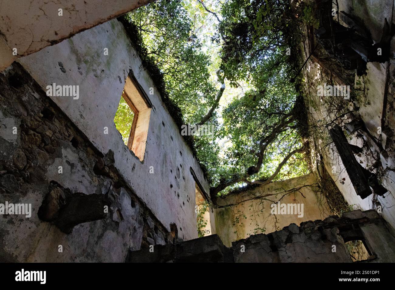 old, abandoned, overgrown, collapsed house on the island of Crete ...