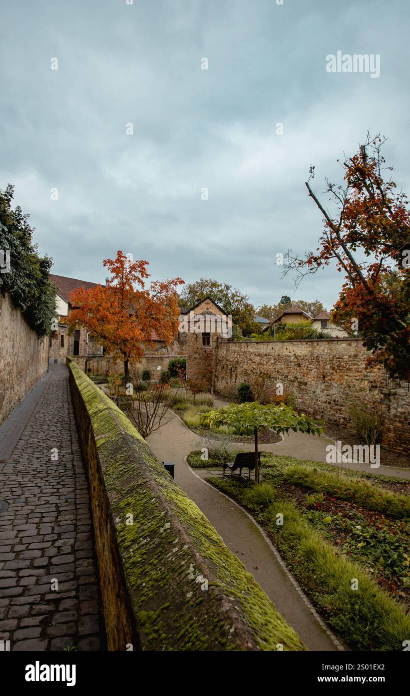 popular cultural travel destinations in Germany Adventure Park in ...