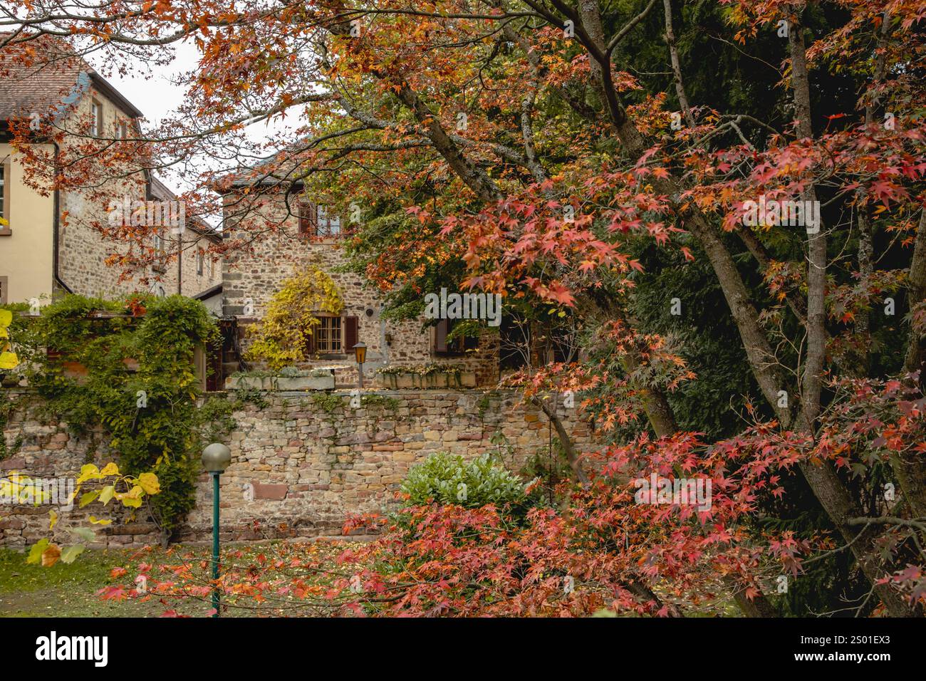 popular cultural travel destinations in Germany Adventure Park in ...